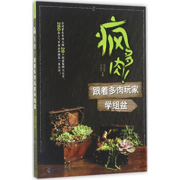 疯多肉!跟着多肉玩家学组盆