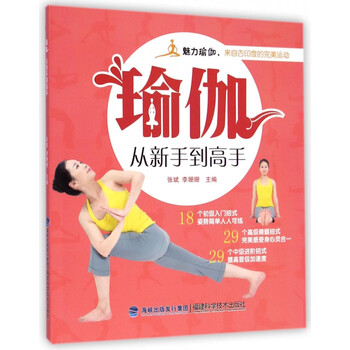 瑜伽从新手到高手(附光盘)