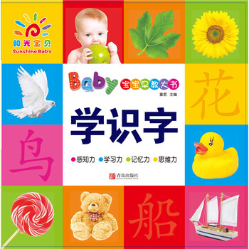 宝宝早教大书·学识字