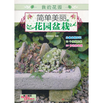 简单美丽的花园盆栽