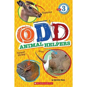 ODD ANIMAL HELPERS (LEVEL 3) (Oct)