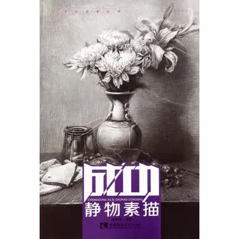 静物素描/成功系列高考丛书