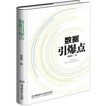 数据引爆点 胡晓军 北京理工大学出版社