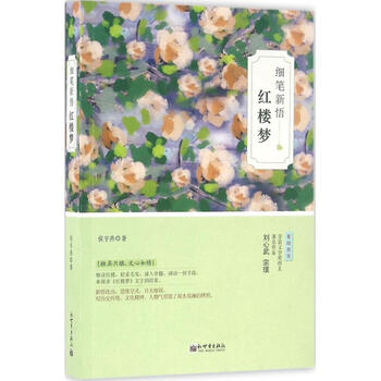 细笔新悟红楼梦
