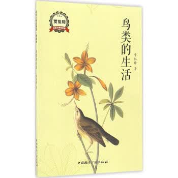 鸟类的生活