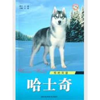 哈士奇 极地英雄