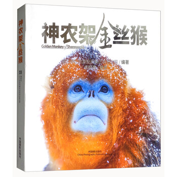 神农架金丝猴