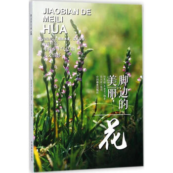 脚边的美丽花