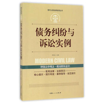 债务纠纷与诉讼实例