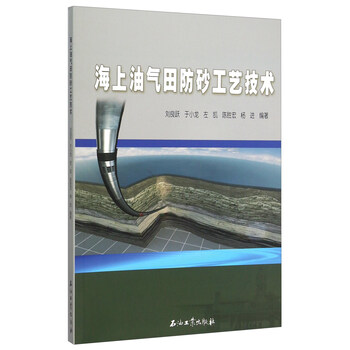 海上油气田防砂工艺技术