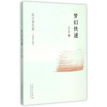 范小青文集 梦幻快递