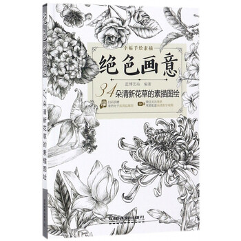 绝色画意(34朵清新花草的素描图绘)