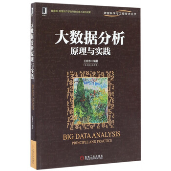 大数据分析原理与实践/数据科学与工程技术丛书