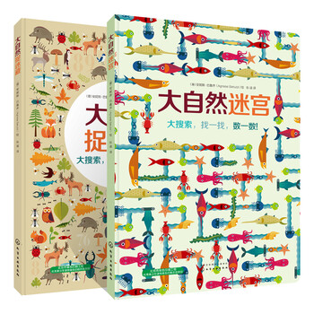 大自然专注力培养地板书（套装共2册）