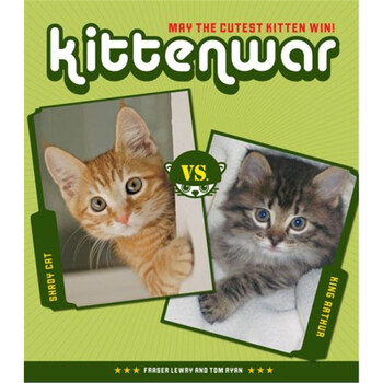 kittenwar: may the cutest kitten win!
