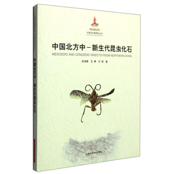 中国北方中：新生代昆虫化石