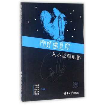 刚好遇见你(从小说到电影)