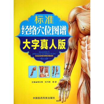 标准经络穴位图谱(大字真人版)