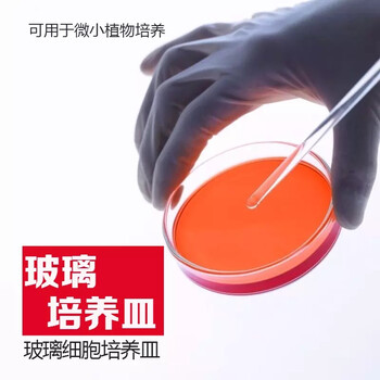玻璃培养皿 初中高中生物实验器材 教学仪器 细菌皿 90mm