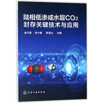 陆相低渗咸水层CO2封存关键技术与应用