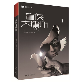 盲侠大律师1