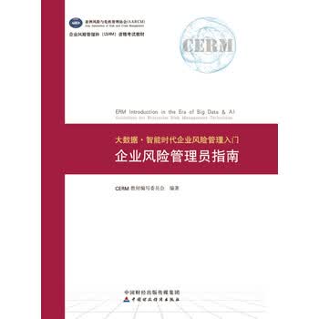 大数据·智能时代企业风险管理入门