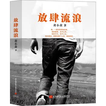 正版 放肆流浪 9787512417670