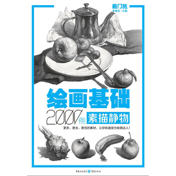 绘画基础2000例：素描静物