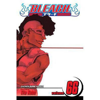 Bleach, Vol. 66, Volume 66