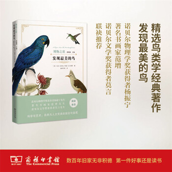 发现最美的鸟