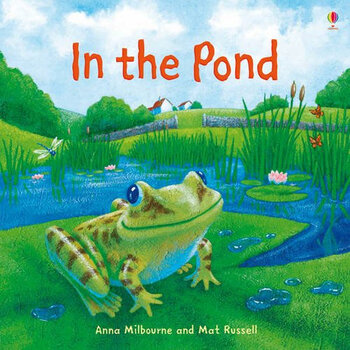In The Pond 英文原版 Usborne英文原版