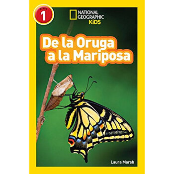 NGR ORUGA A LA MARIPOSA 进口儿童绘本