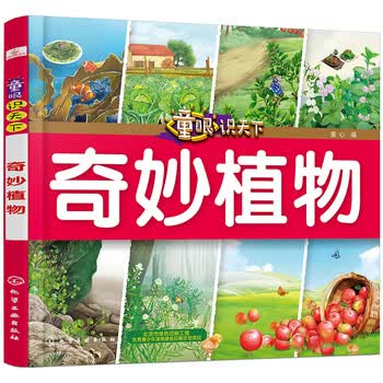 童眼识天下——奇妙植物