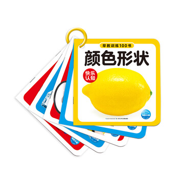 早教训练100书：快乐认知