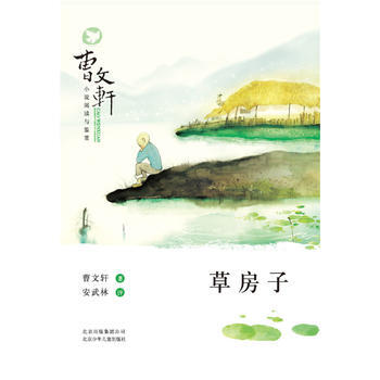 曹文轩小说阅读与鉴赏-草房子
