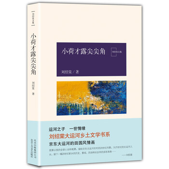 [正版图书]小荷才露尖尖角