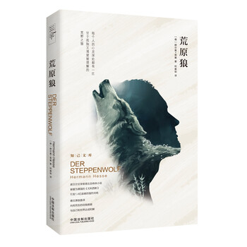 黑塞心理学作品集：荒原狼