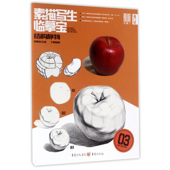 结构静物/素描写生临摹宝