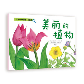 美丽的植物