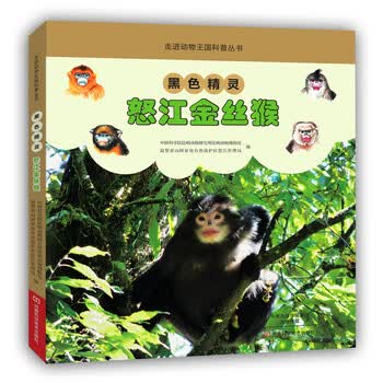 黑色精灵：怒江金丝猴