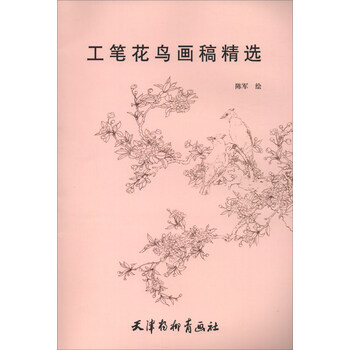 工笔花鸟画稿精选