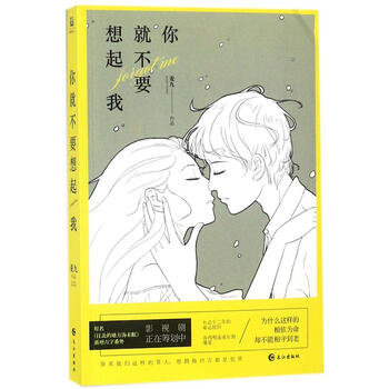 你就不要想起我 青春文学 书籍