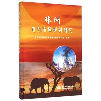 非洲电力市场规划研究(精)