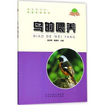 鸟的喂养