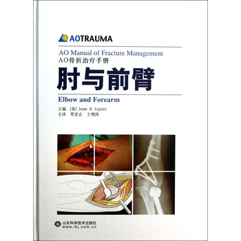 肘与前臂(AO骨折治疗手册)(精)