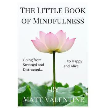 The Little Book of Mindfulness