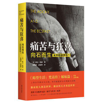 痛苦与狂喜:向石而生：米开朗基罗传1