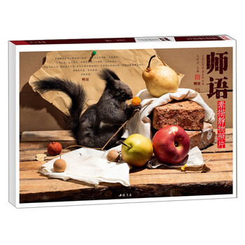 师语素描静物照片/主题教学师语系列丛书