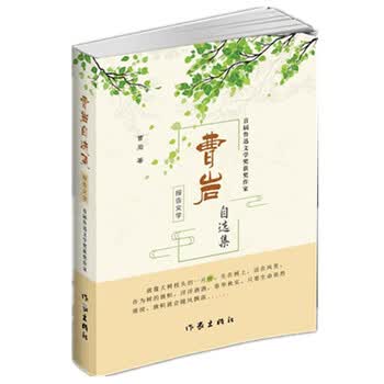 曹岩报告文学自选集
