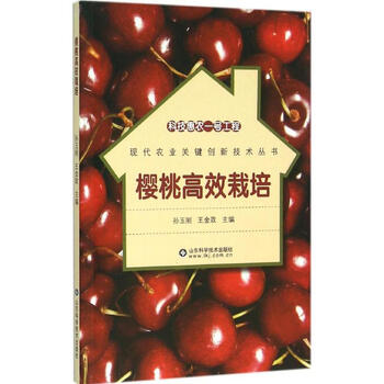 樱桃高效栽培